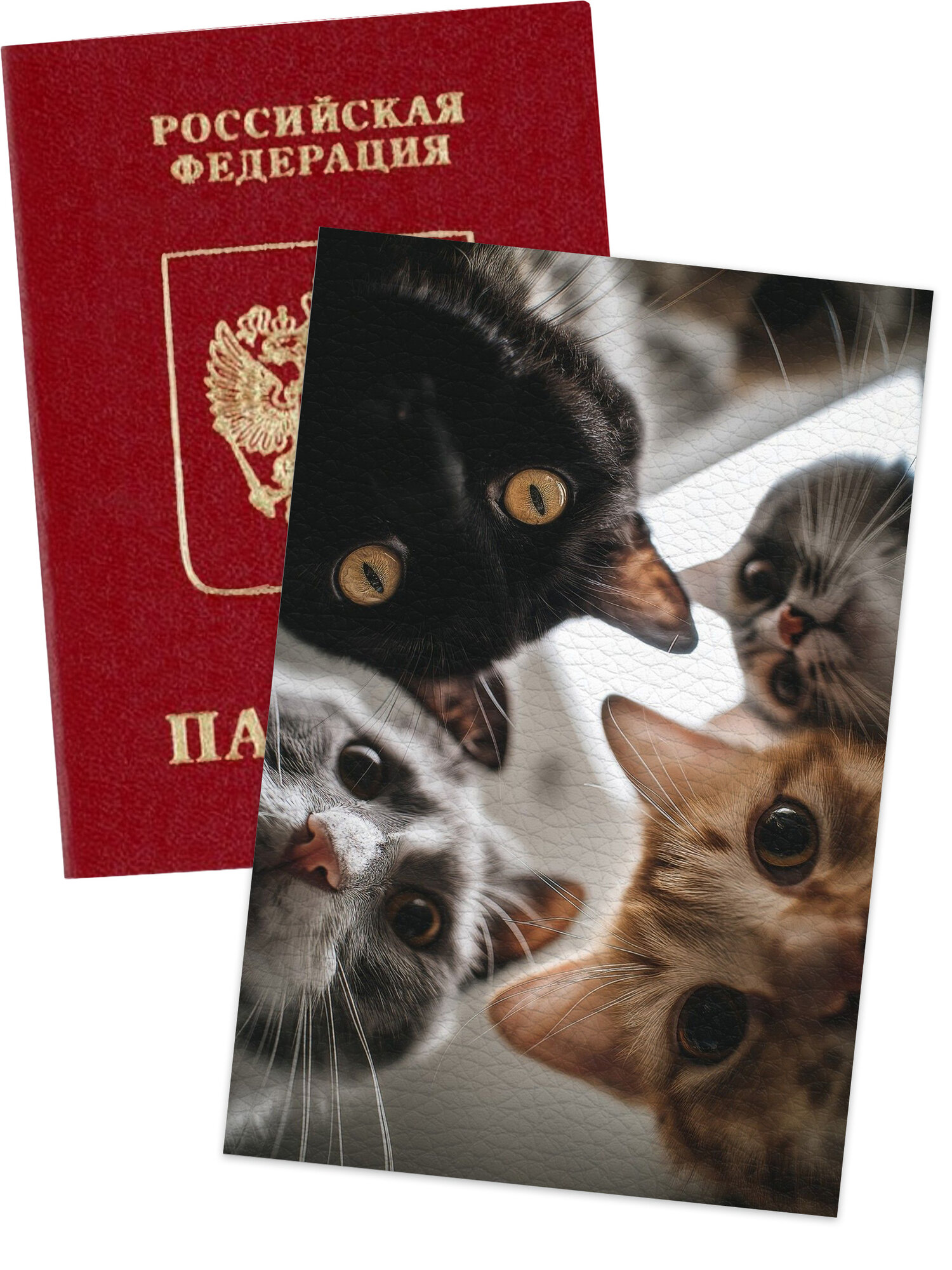 Обложка для паспорта
