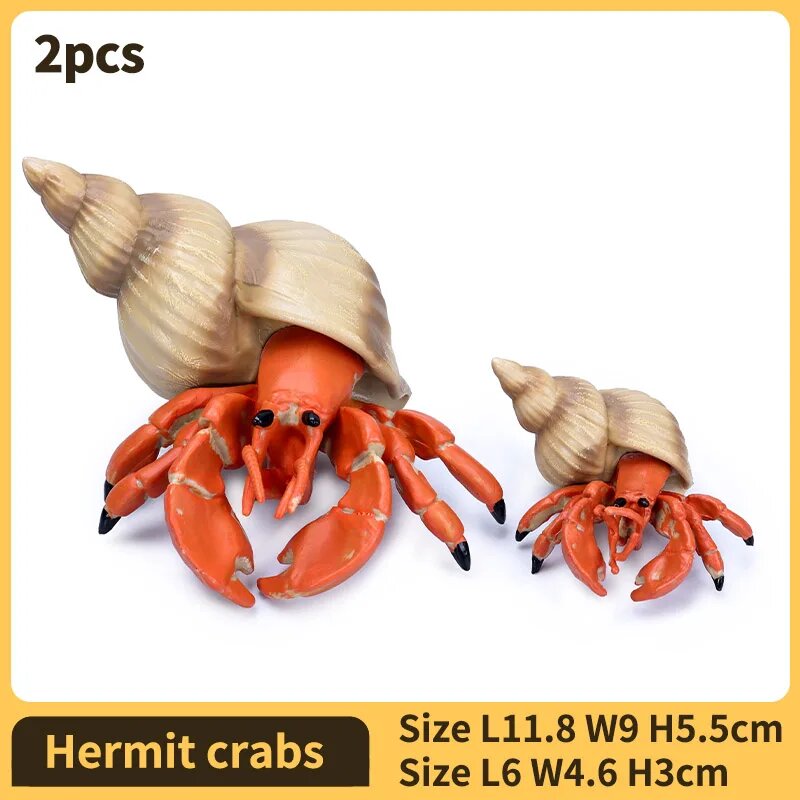 Фигурка краба-отшельника - Модель животных морской жизни - Развивающая игрушка для мальчиков, девочек и детей в возрасте 18 месяцев +