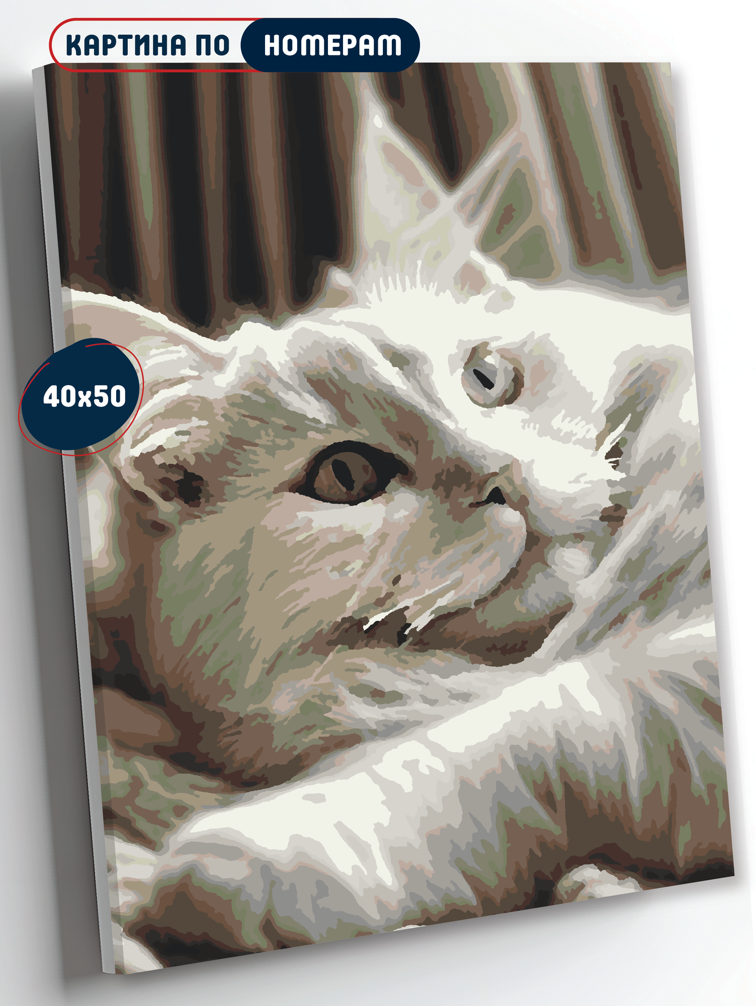 Картина по номерам "Белая кошка", Холст на подрамнике 40х50, набор для рисования, с животными