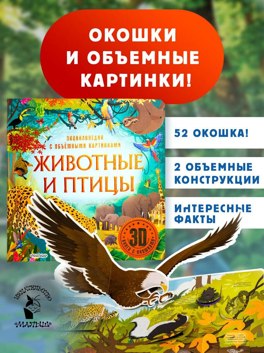 Животные и птицы — фото 1