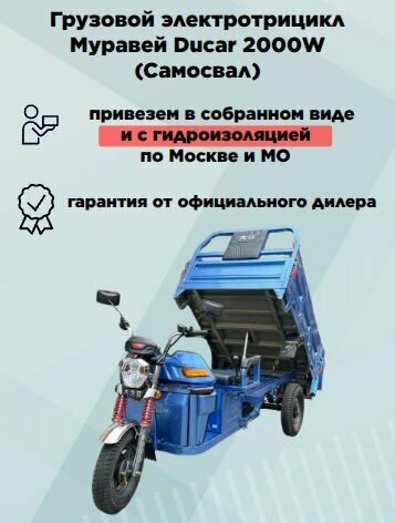 Грузовой электротрицикл Ducar Муравей (самосвал), 2000W, в сборе, с гидроизоляцией