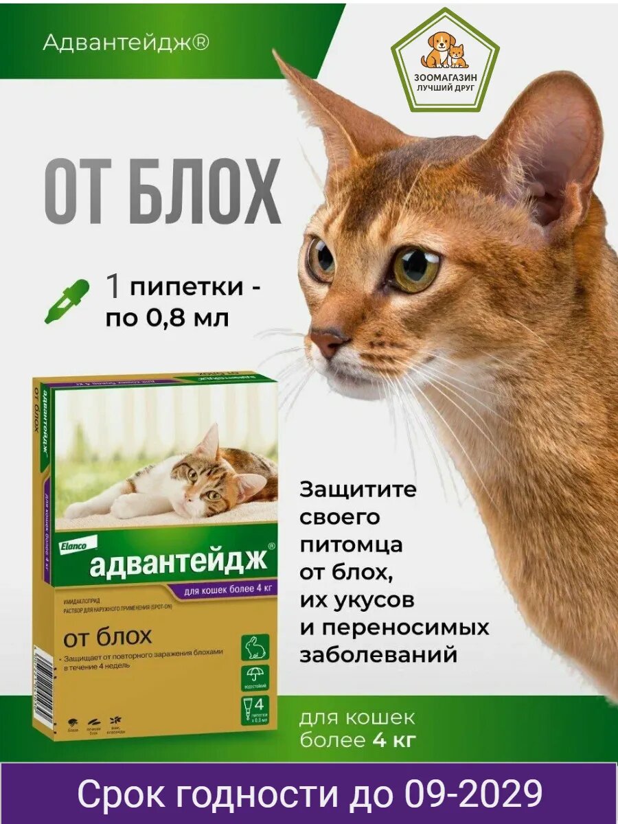 Адвантейдж для кошек более 4 кг ( 1 пипетка )