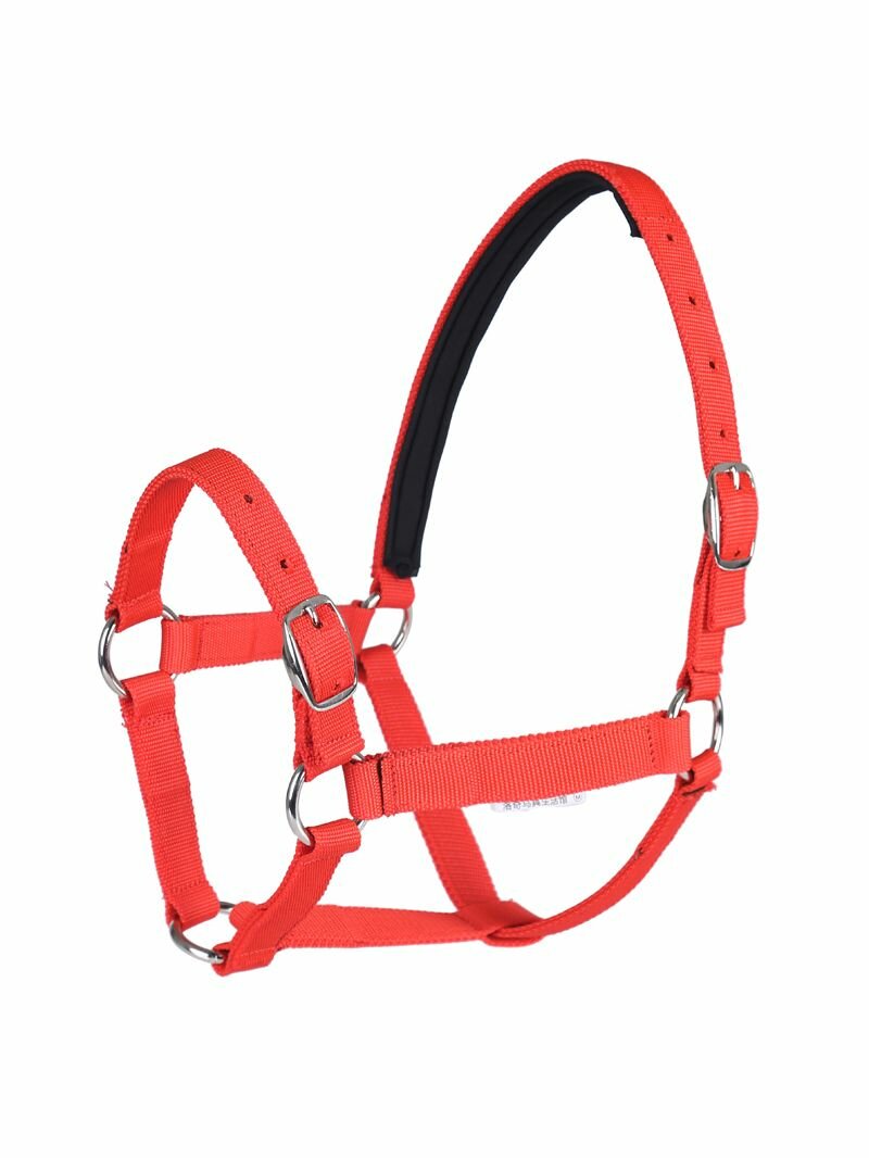 Недоуздок Cavassion для управления лошадью, текстиль, красный, размер XL