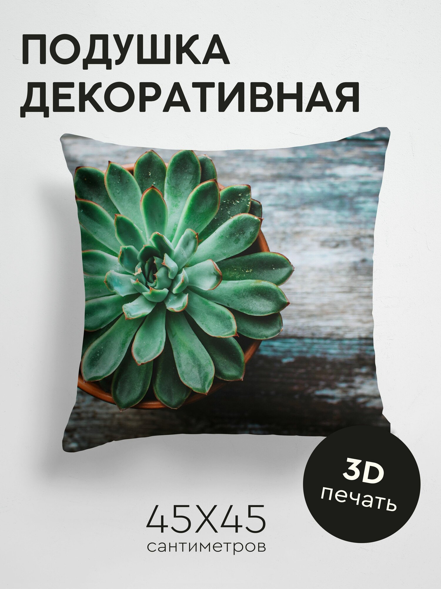 Подушка декоративная, 45x45см / Цветы / эхеверия / эчеверия / суккулент / горшок