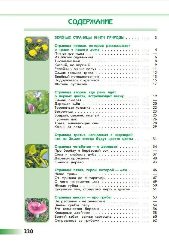 Зеленые страницы — фото 1