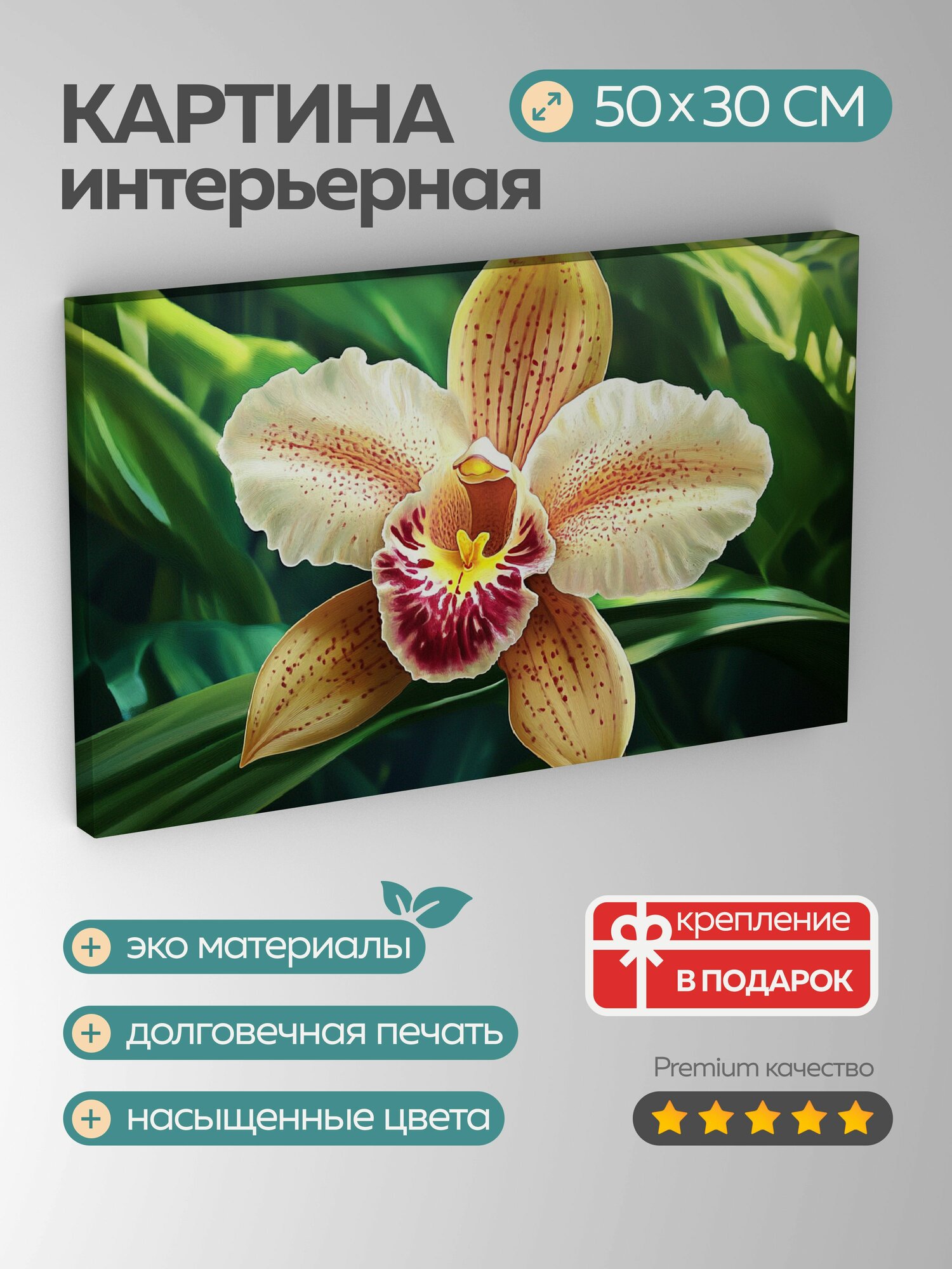 Картина на холсте интерьерная 50х30 см, Орхидея, цветы, лепестки, зеленая листва, элегантность, изящество