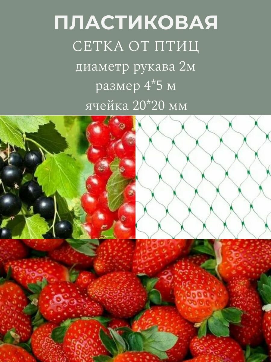 Сетка пластиковая Ягодка У-20/4/5 ячейка 20*20 мм