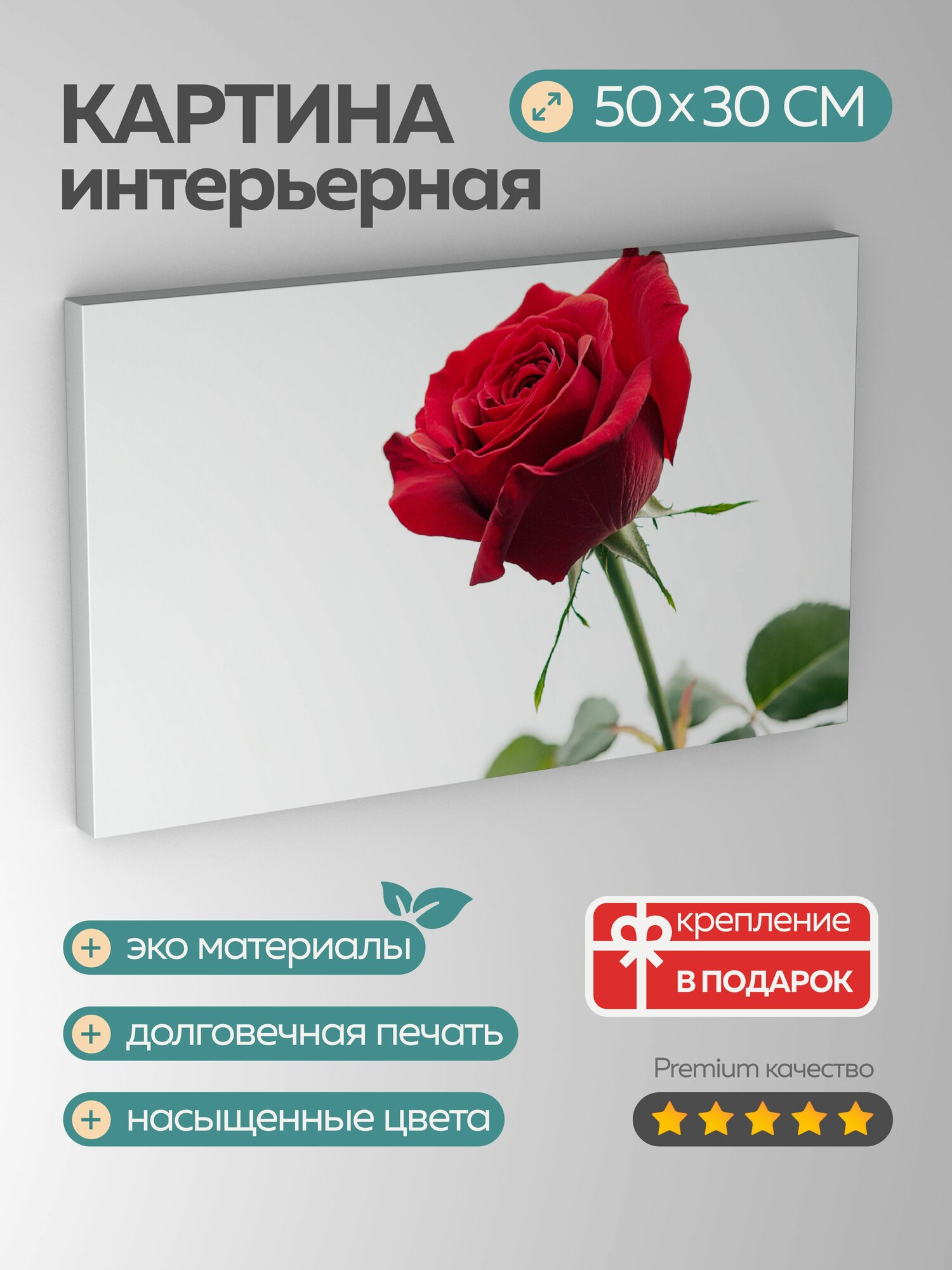 Картина на холсте интерьерная 50х30 см, Роза, красная, белоснежный фон, четкость, нежная красота, элегантность