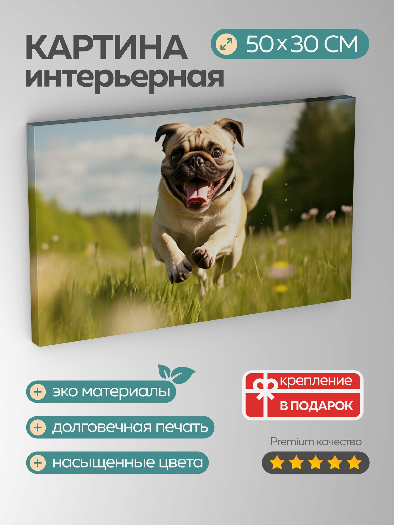 Картина на холсте интерьерная 50х30 см, мопс, прыжок, язык, глаза, восторг, луг, смех, беззаботность, 2.8L, 135 мм, f