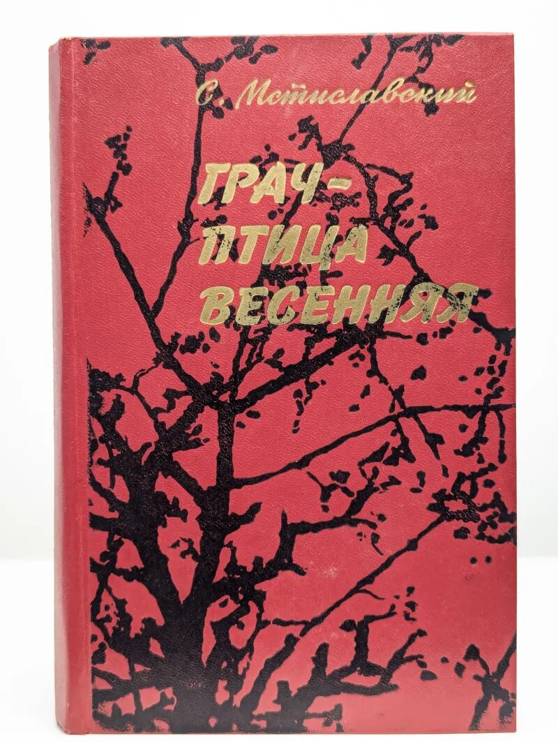 Грач - птица весенняя