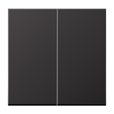 JUNG LS 990 Dark Клавиша 2-ая, AL2995D