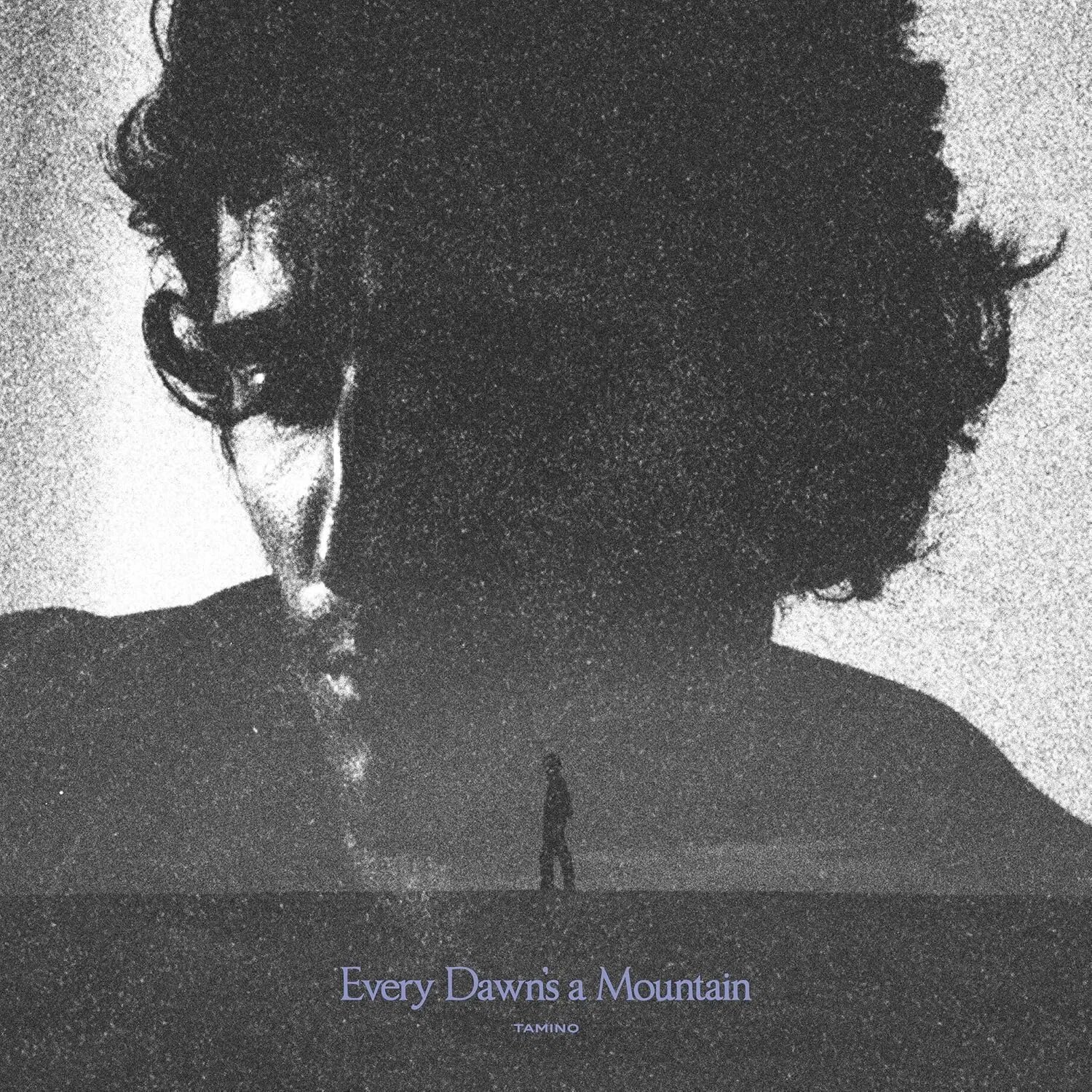 Виниловая пластинка Tamino / Every Dawn's A Mountain (1LP)