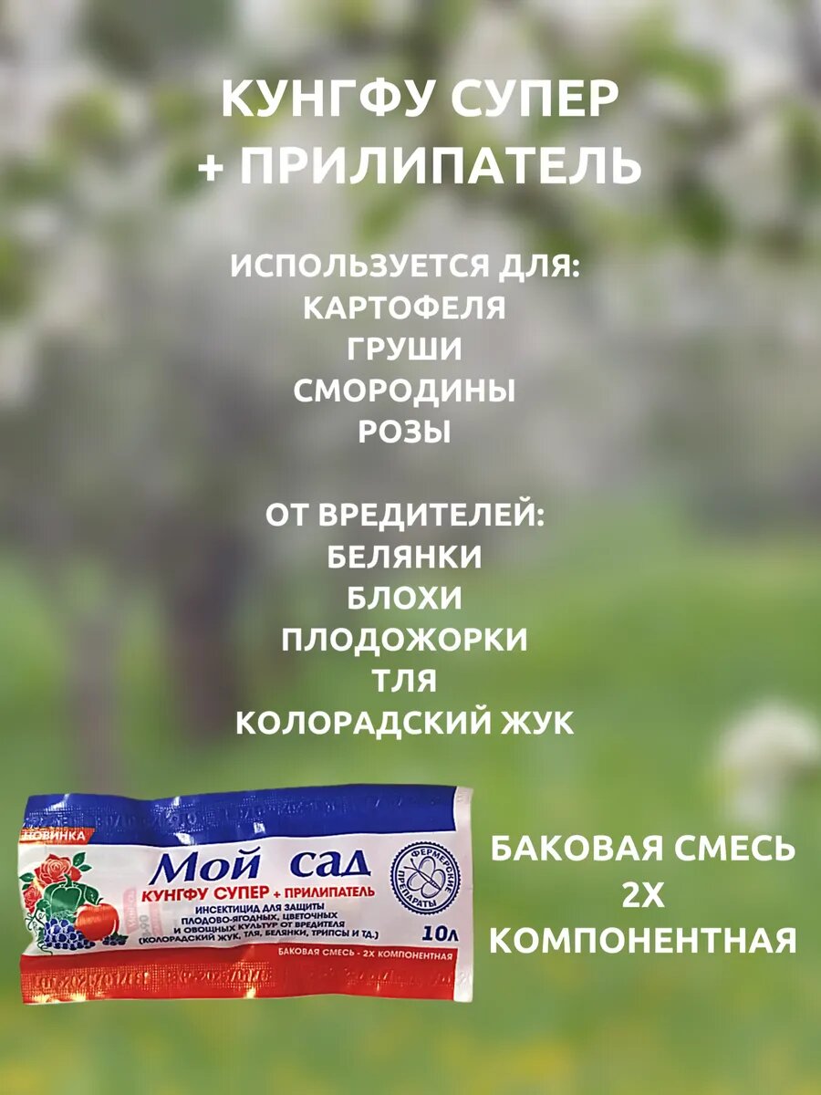 Кунгфу Супер
