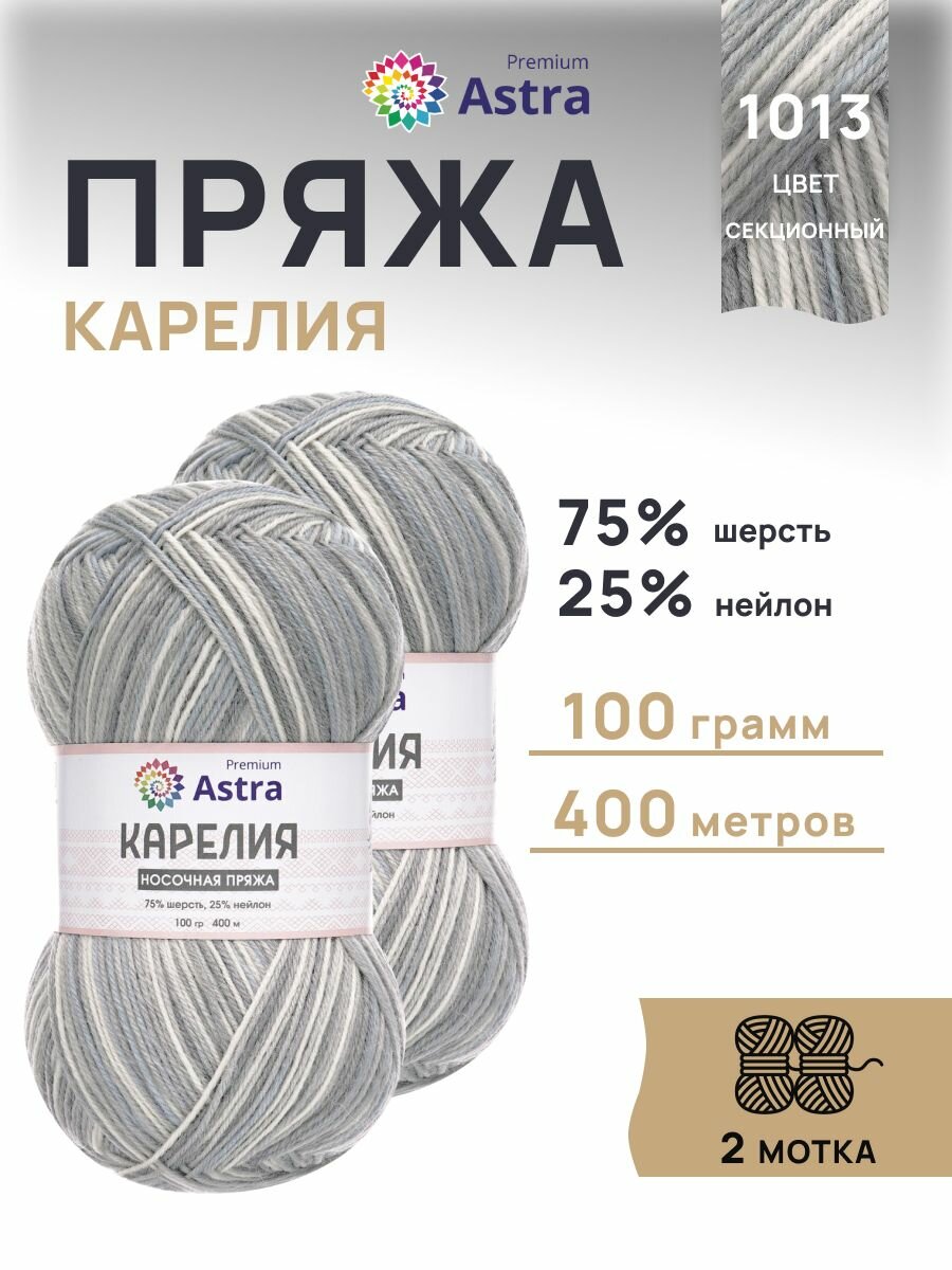 Пряжа носочная Astra Premium 'Карелия', 2 шт, 100г, 400м (75% шерсть, 25% нейлон) (1013)