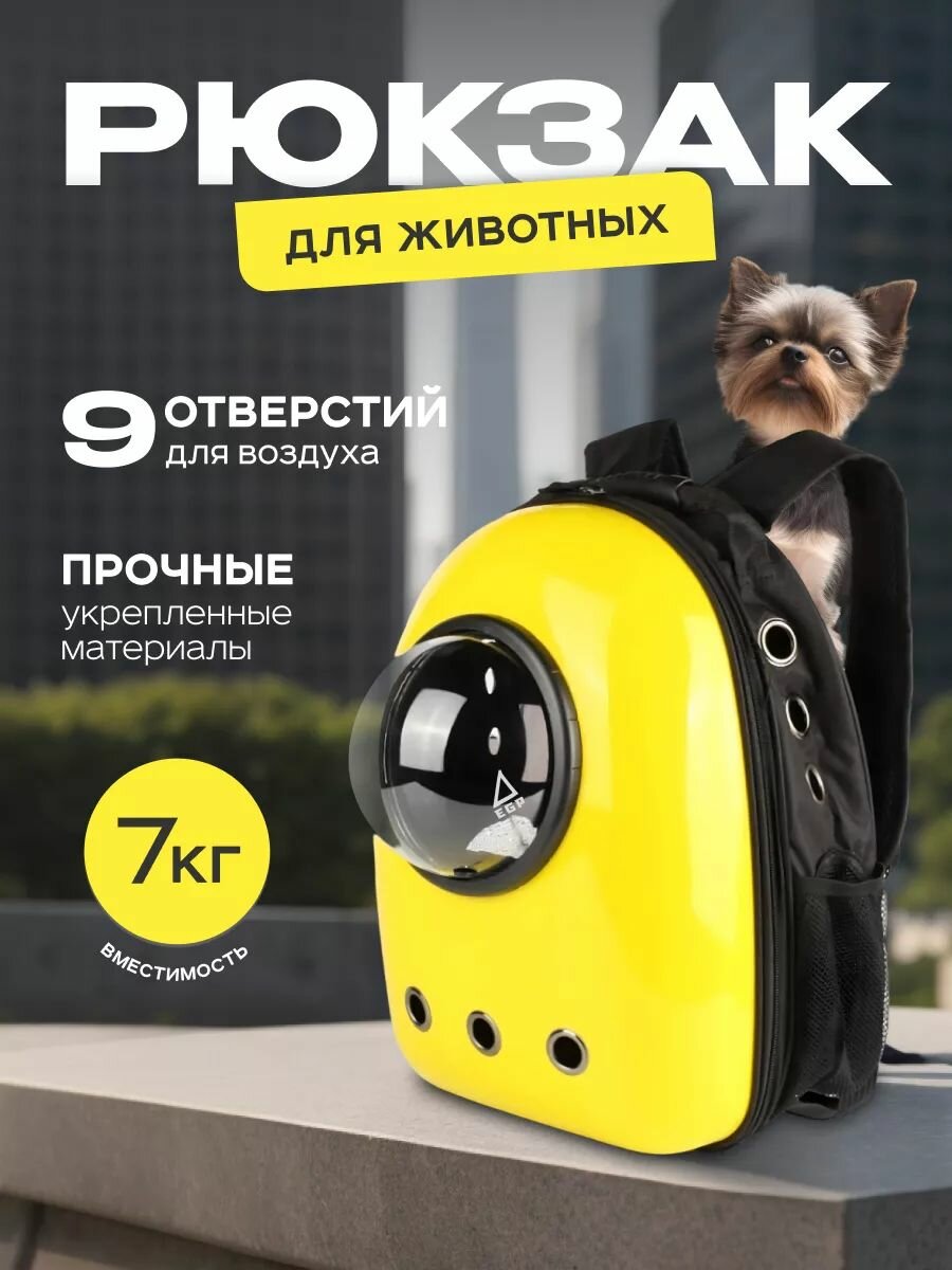 Чемодан для животных на колесиках черный
