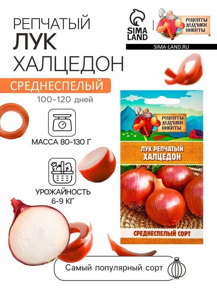 Семена Лук репчатый Халцедон , 0.5 г, Рецепты дедушки Никиты