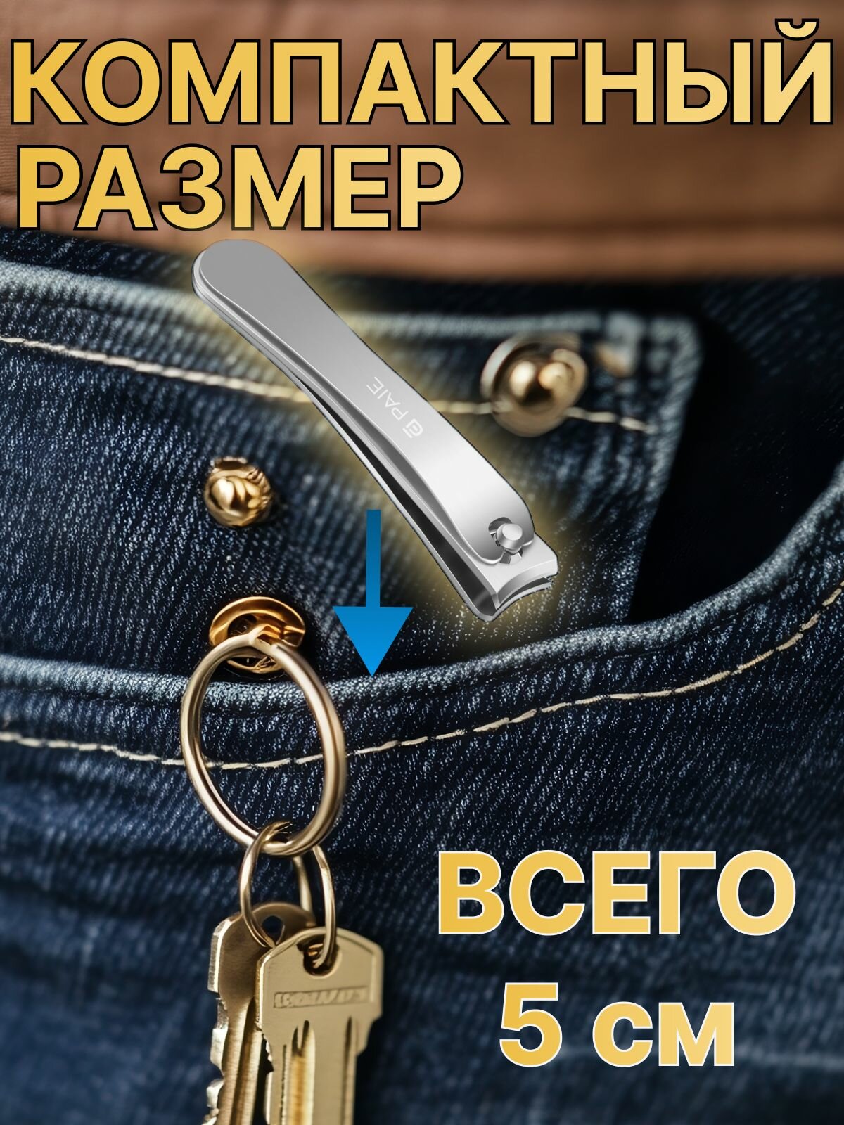 Книпсер