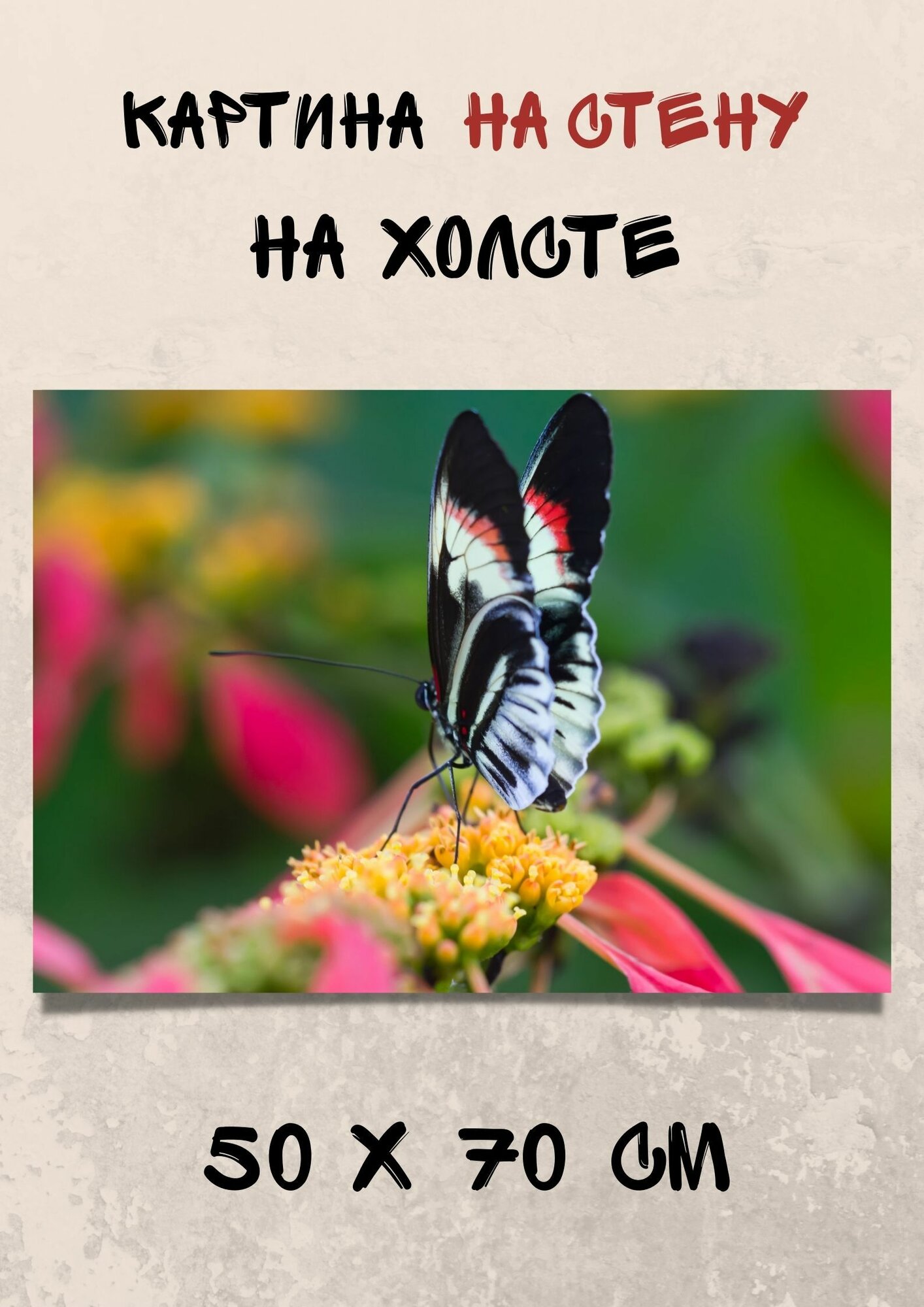 Картина с красивой бабочкой на цветке / Картина бабочка