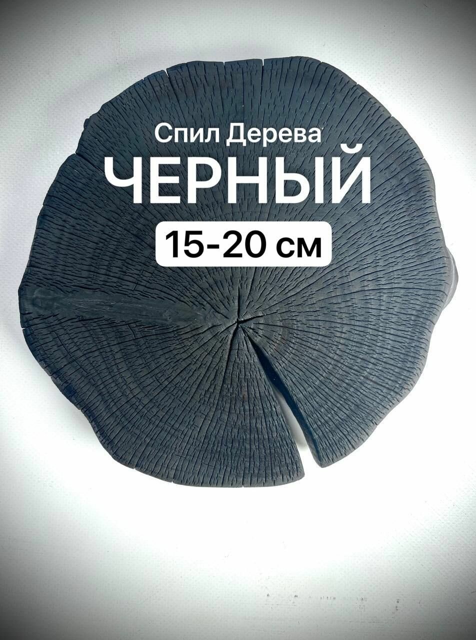 Спил дерева Черный, диаметр 15-20, 1 шт