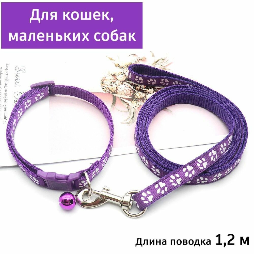 Ошейник для собак, кошек и щенят с поводком