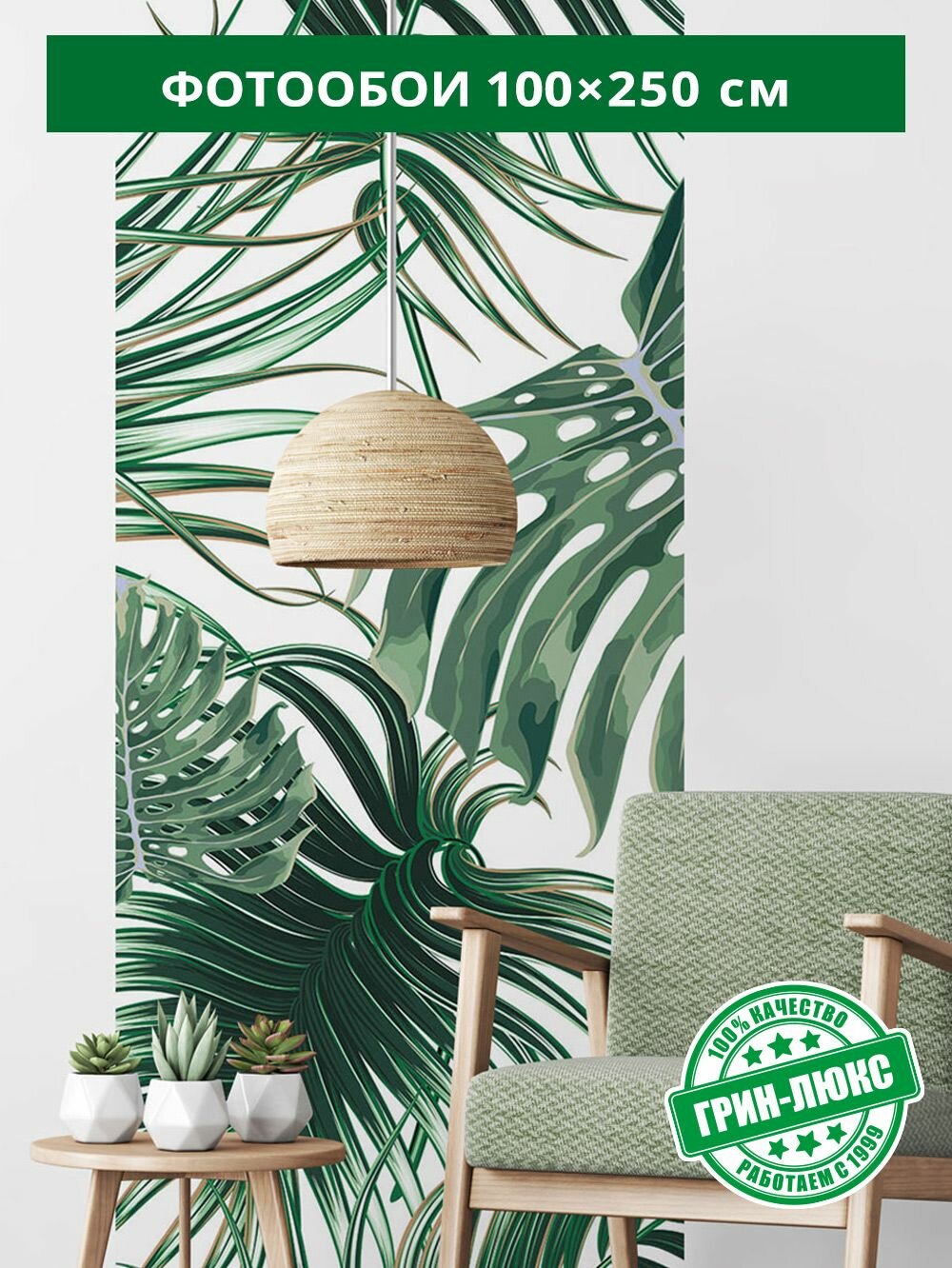 Фотообои на стену "Монстера на стене 100х250", обои флизелиновые гладкие в комнату спальню гостиную коридор, листья