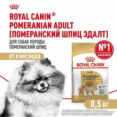 ROYAL CANIN POMERANIAN ADULT 2 шт по 500 г корм для собак породы померанский шпиц в возрасте от 8 месяцев
