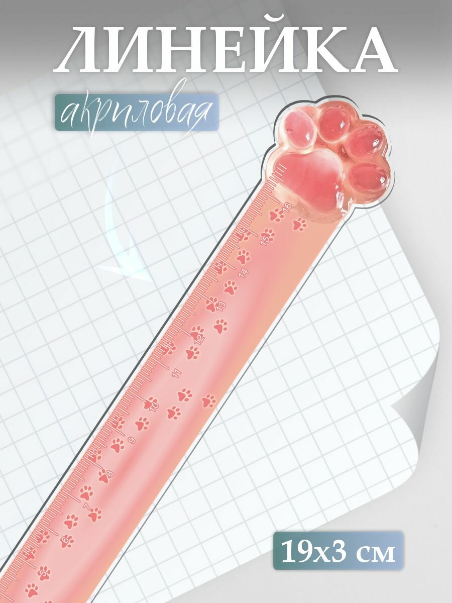 Линейка школьная сквош лапка - Cutecore