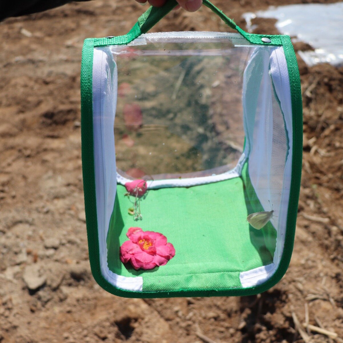 Клетка для наблюдения за трансформацией бабочек, переносная, прозрачная, зеленая