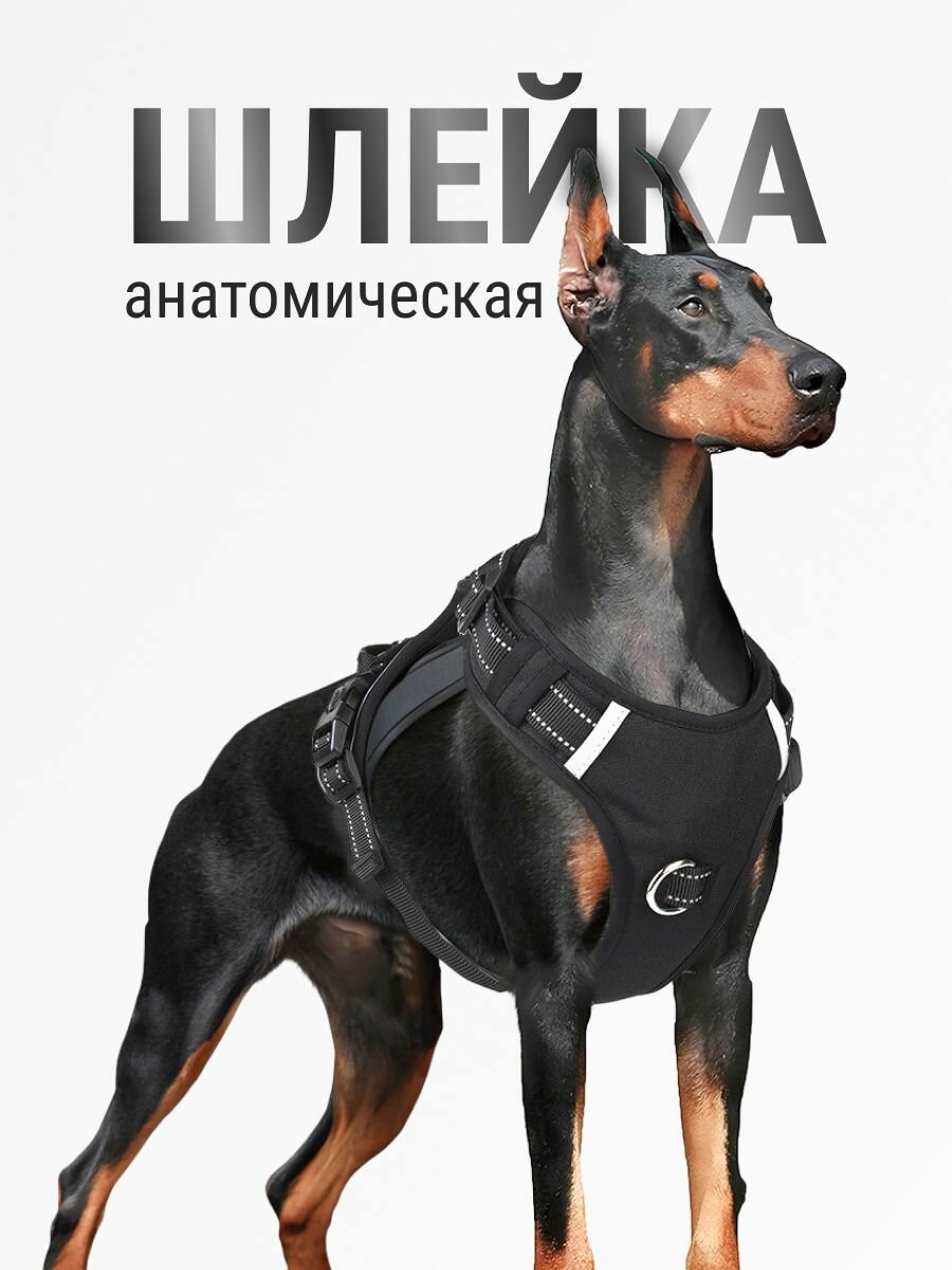 Шлейка K748, для дрессировки, анатомическая, нейлон, размер L