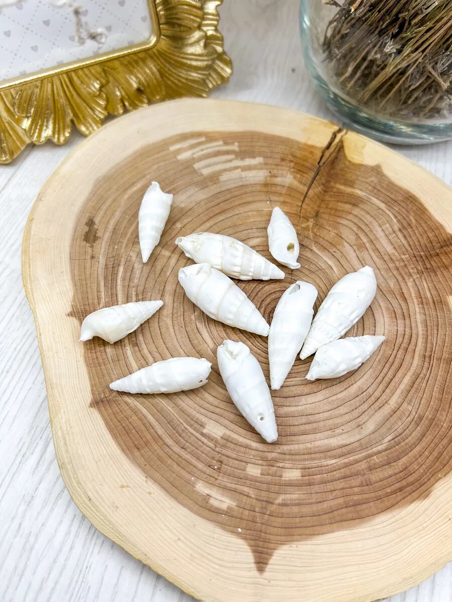 Морские натуральные ракушки 10 шт. Церетиум Вертагус Белый