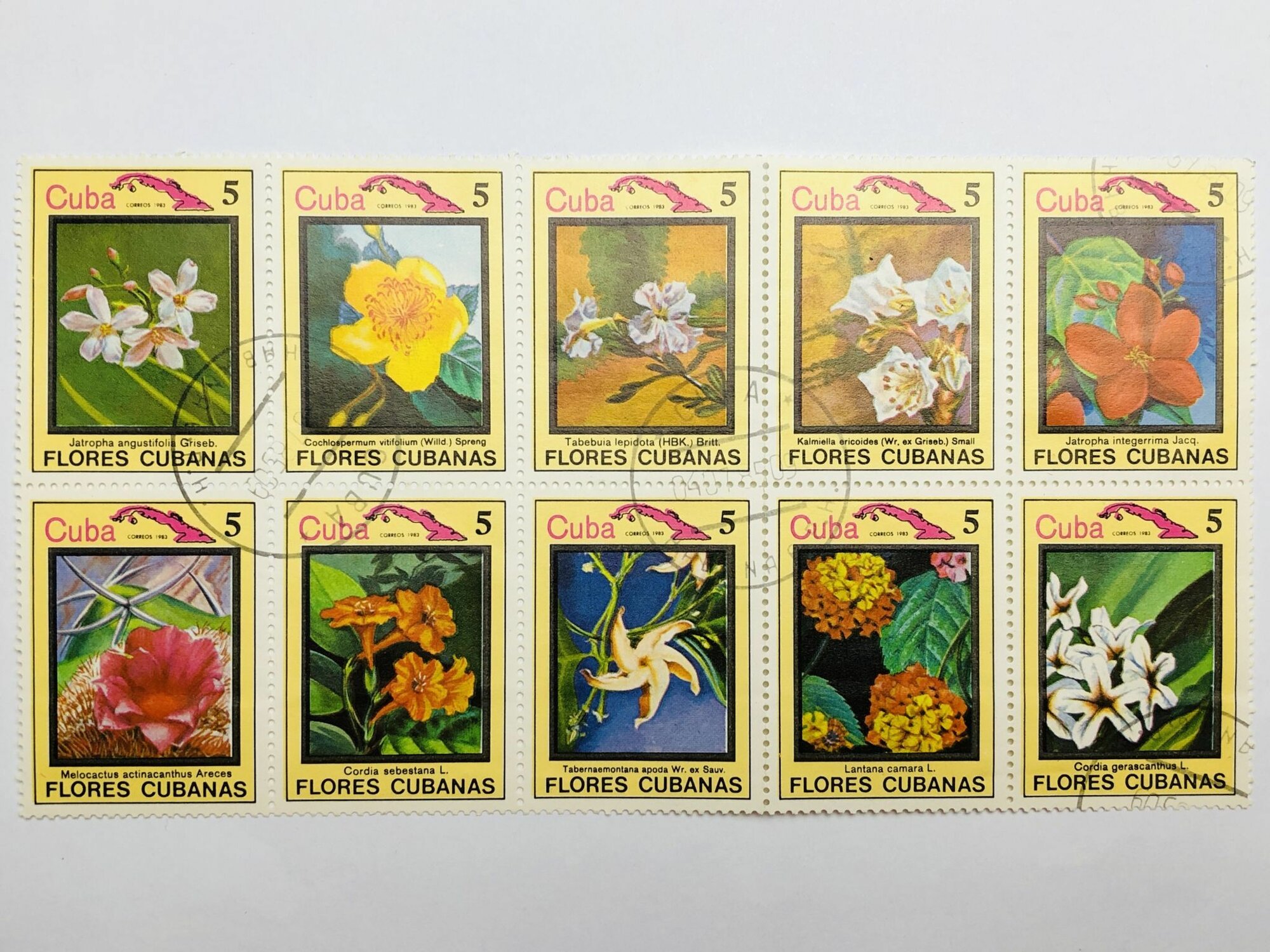 Почтовые марки Цветы. Сцепка из 10 марок. Куба. 1983. Гашен