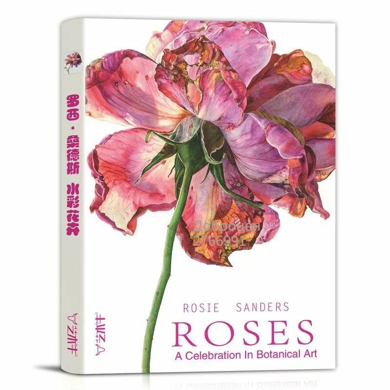 Портфолио Рози Сандерс, Почтовая открытка, Учебная карточка для копирования, набор из 32 предметов