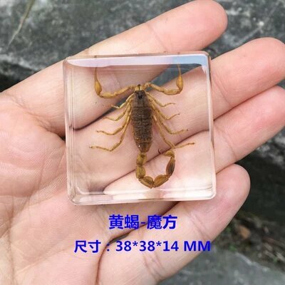 Статуэтка скорпиона из смолы Yellow Scorpion Squa