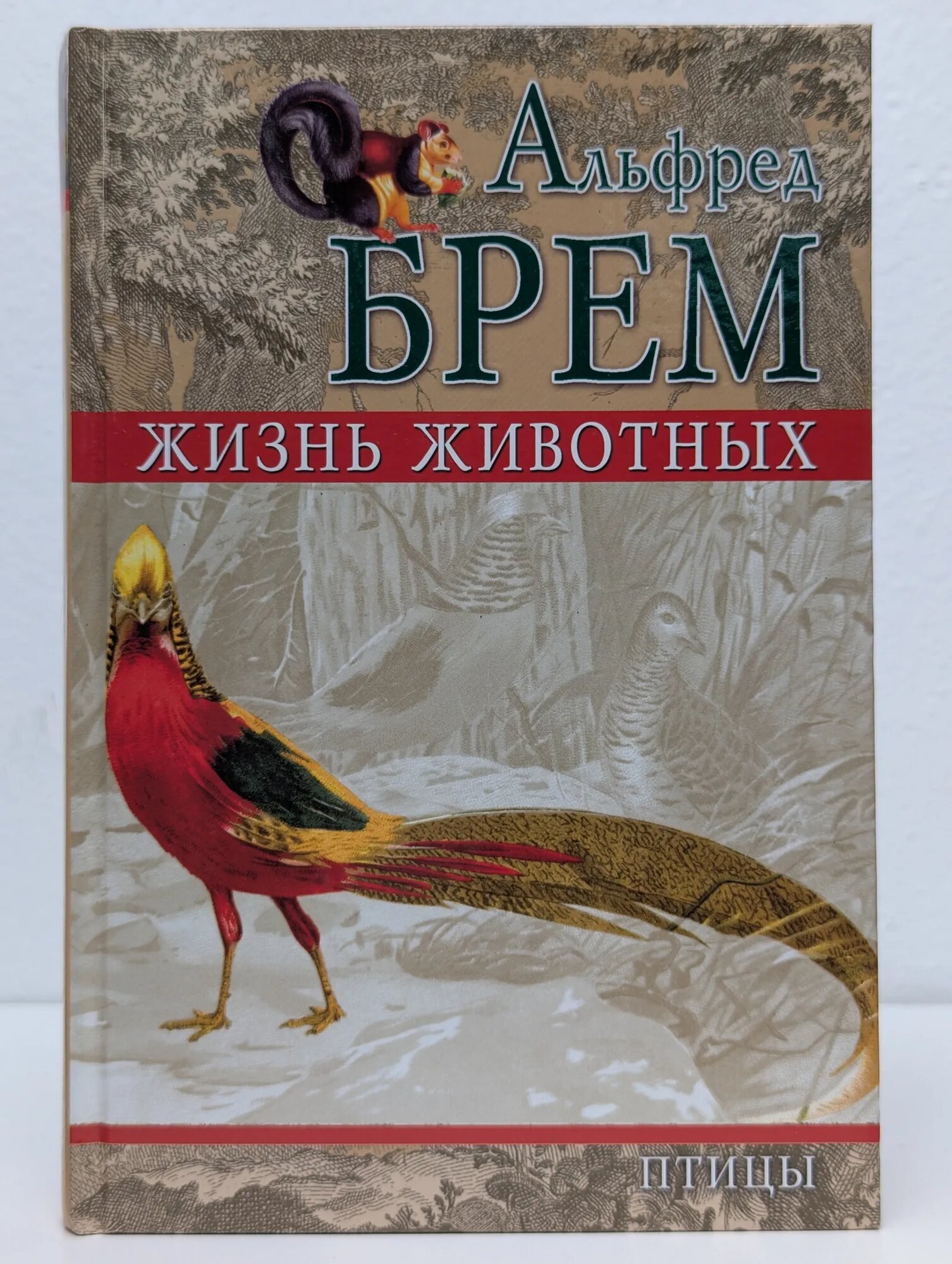 Жизнь животных. Птицы Брем Альфред 2008
