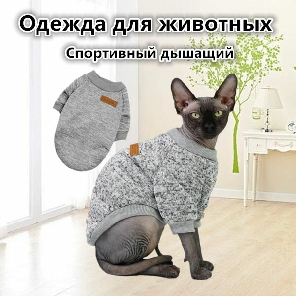 Одежда для животных