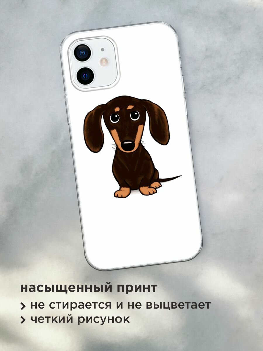 Чехол на Apple iPhone 12/12 Pro / Айфон 12/12 Про с принтом "Маленькая такса" — фото 1