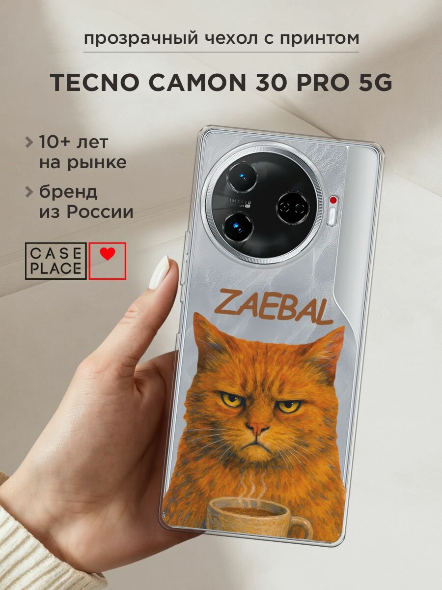 Чехол на Tecno Camon 30 Pro 5G / Текно Камон 30 Про 5G с принтом "Рыжий кот с надписью", прозрачный