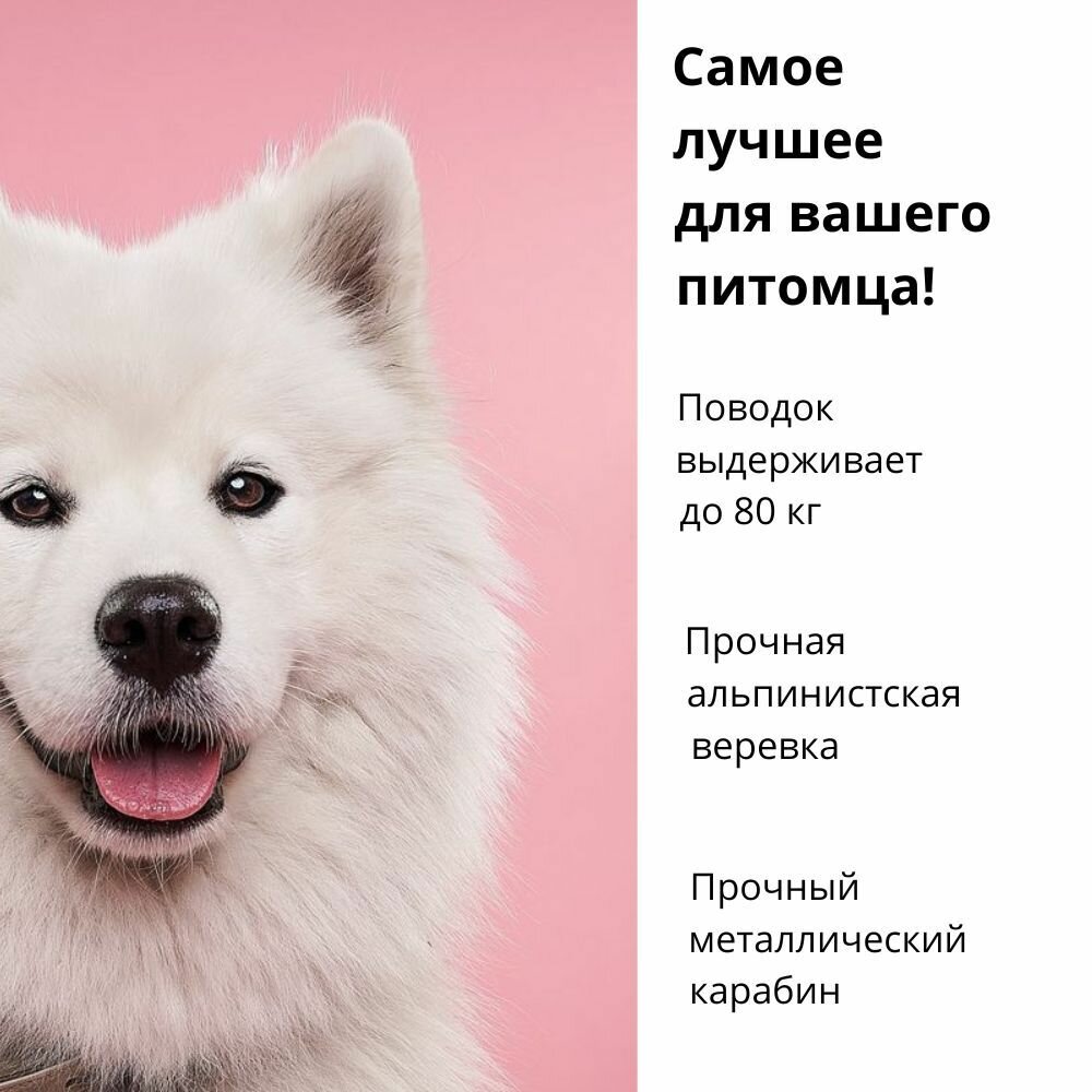 Светоотражающий поводок для собак из нейлона, против рывков, для всех пород, всесезонный, прочный, безопасный,1.5m