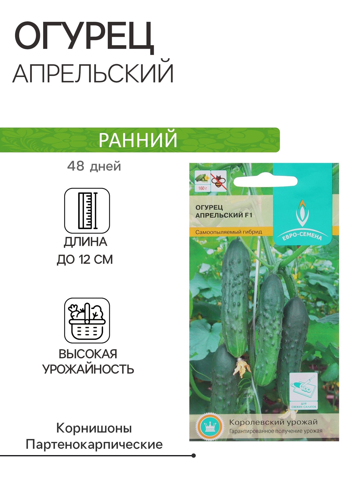 Семена Огурец «Апрельский», F1, 0.25 г, партенокарпический, «Евро-семена»