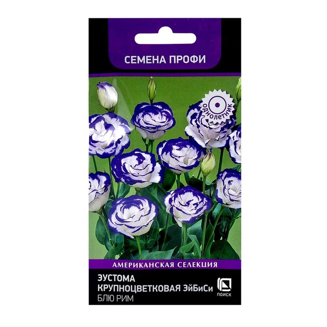 Семена цветов поиск Эустома ЭйБиСи Блю Рим, однолетние, высота 115 см, 10 шт