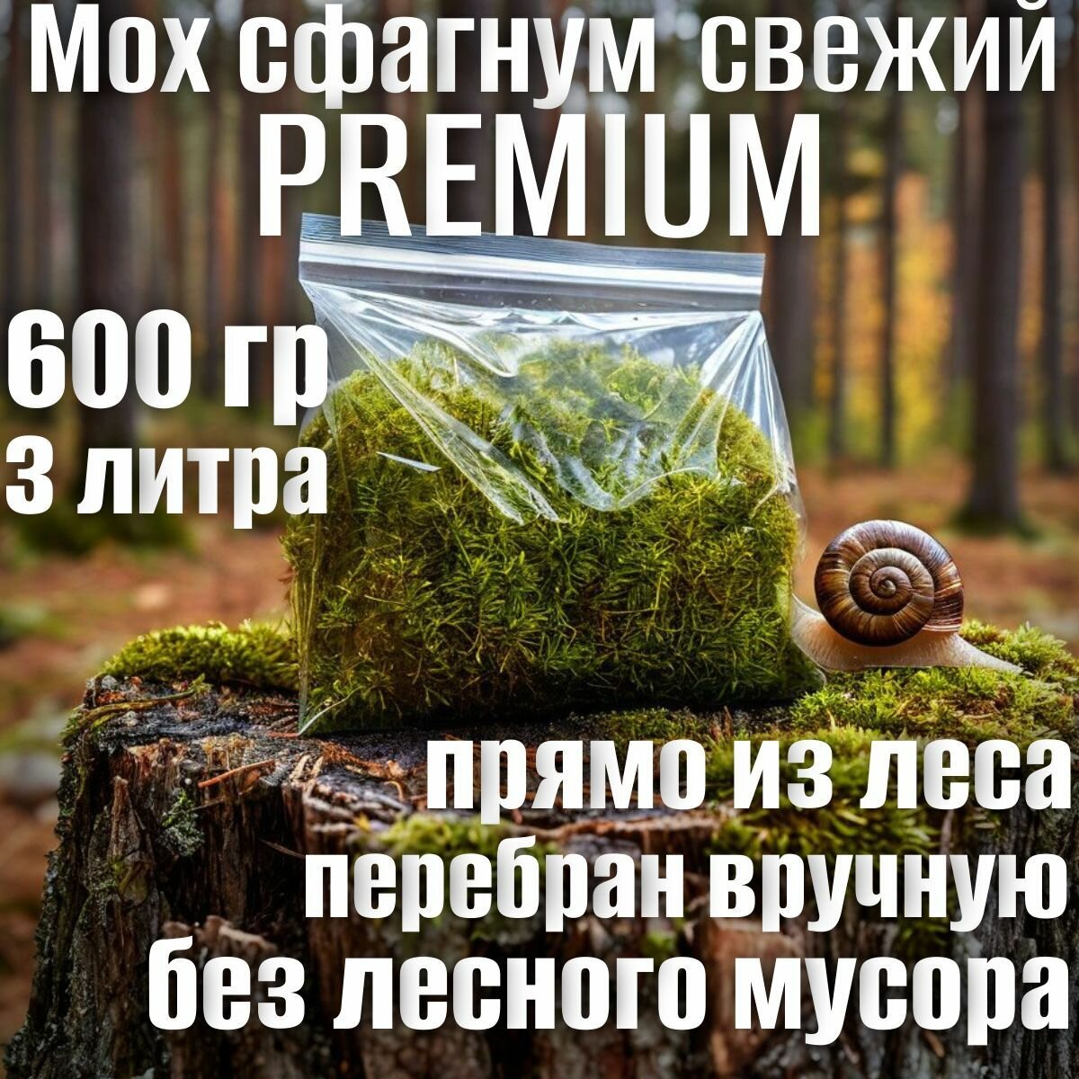 Мох сфагнум премиум свежий, 3 литра, очищенный, для орхидей и террариумов