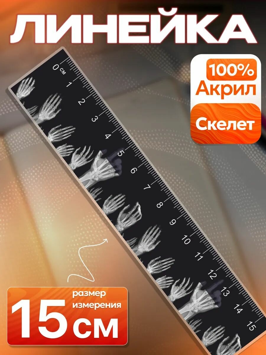 Линейка Скелет
