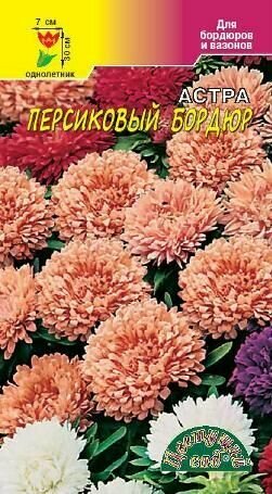 Семена Астра Бордюр Персиковый