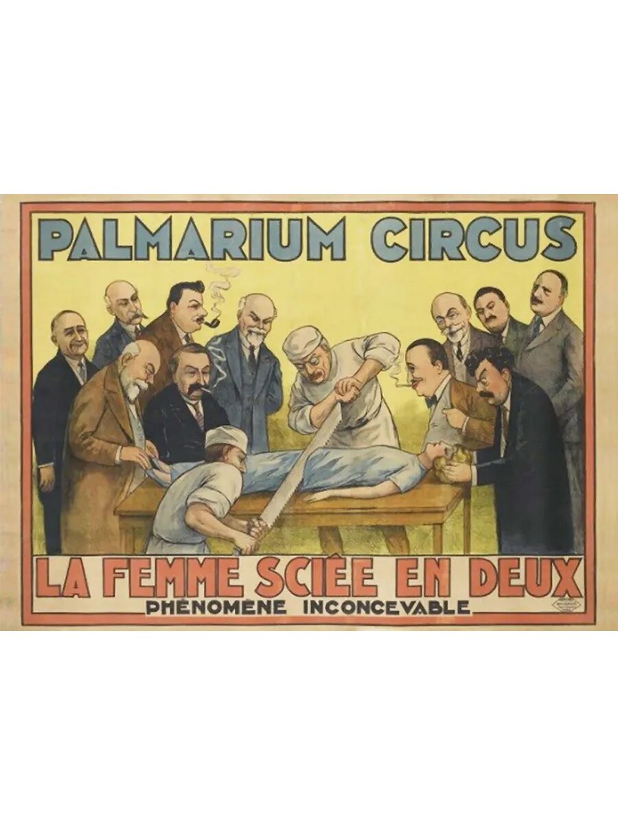 Афиша Palmarium Circus — фото 1