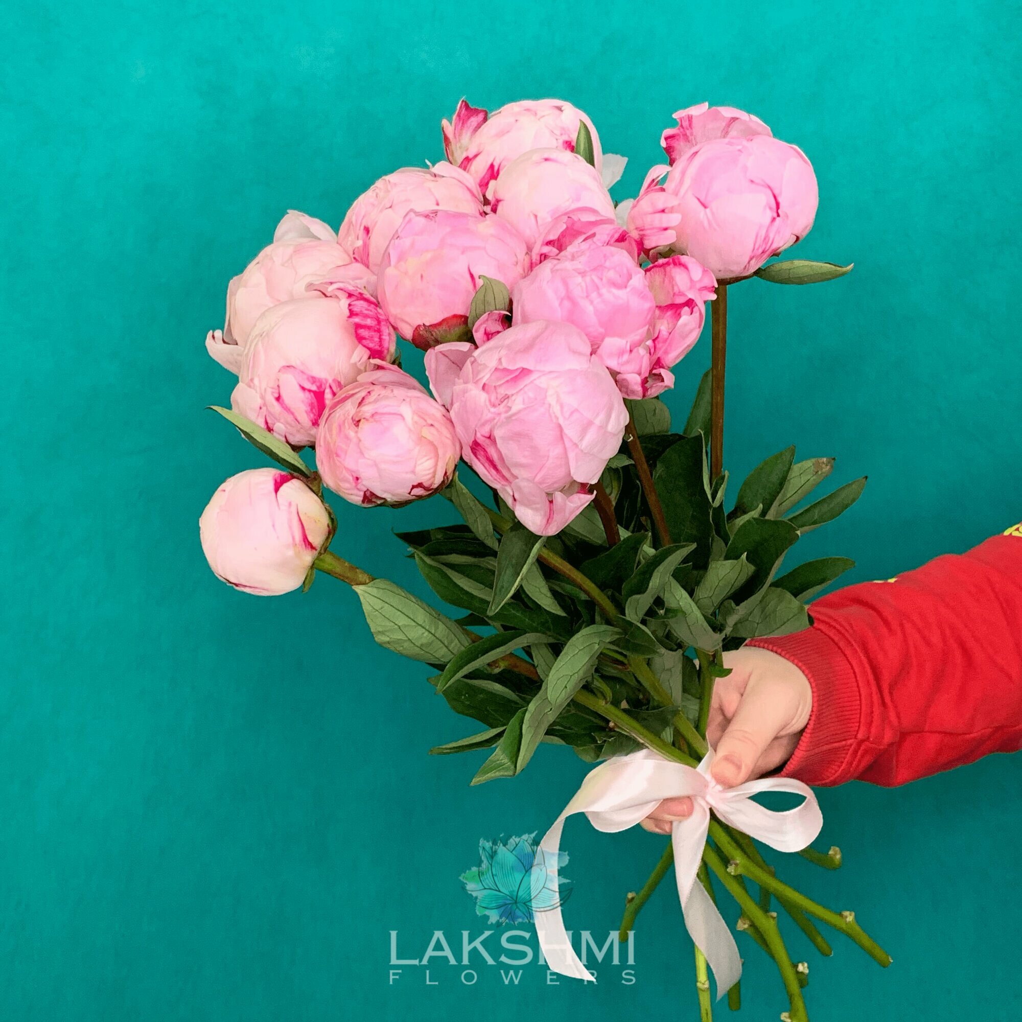 11 пионов / Букет из 11 розовых пионов сорта «Сара Бернар» под ленту