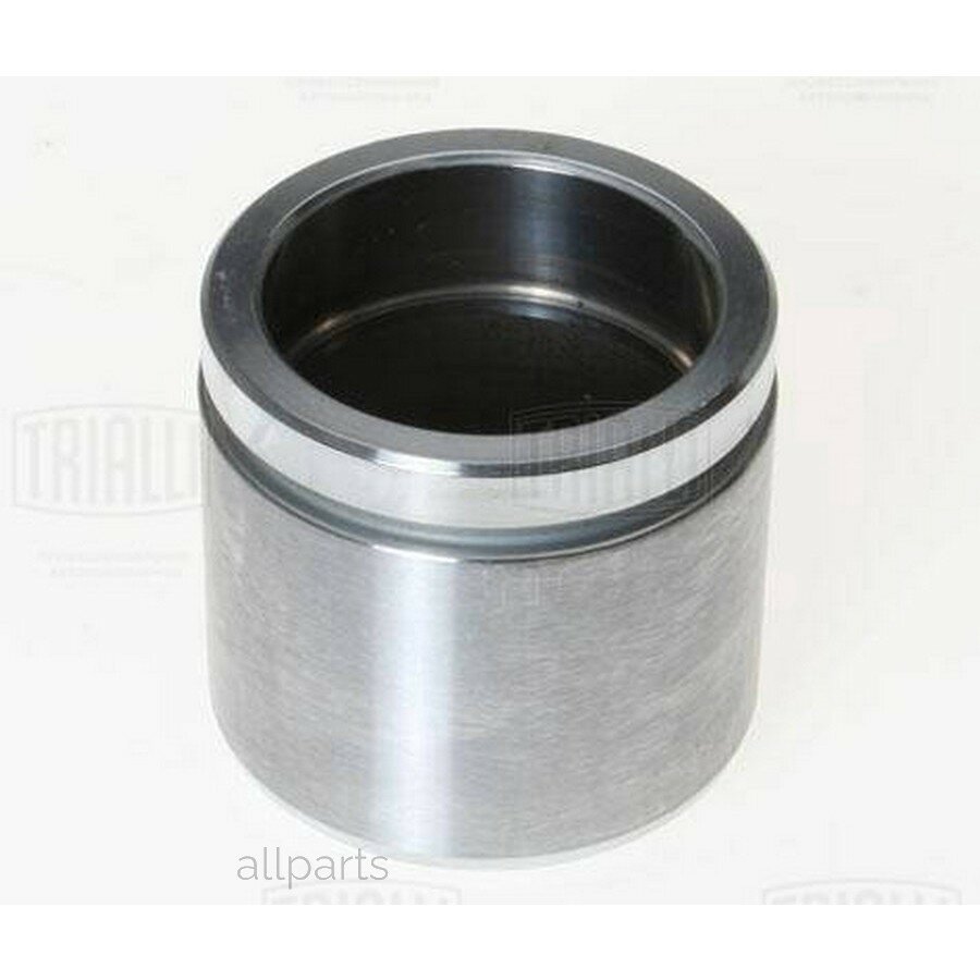 TRIALLI RCF084726P Поршень суппорта d=54мм | перед |