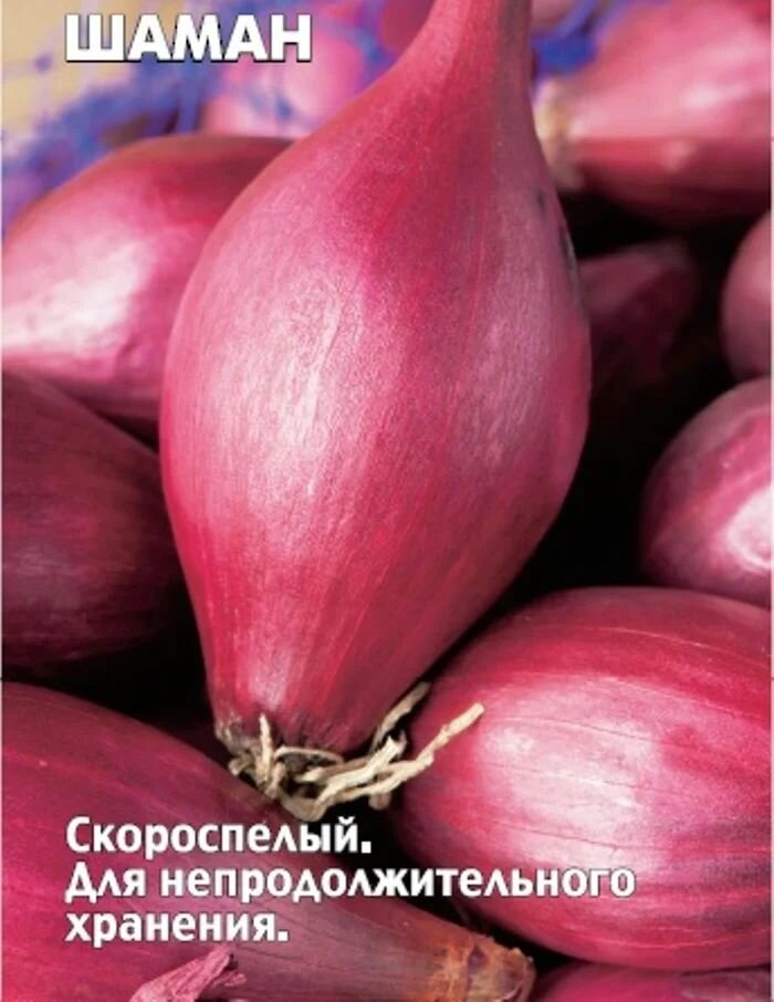 Коллекционные семена лука репчатый Шаман