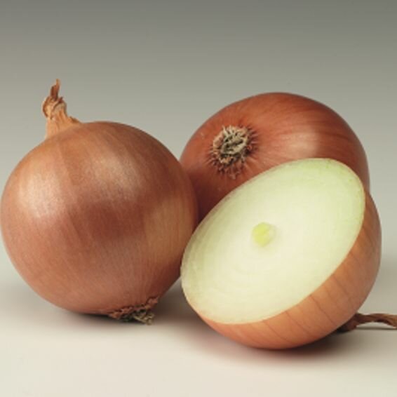 Коллекционные семена лука репчатый Визион F1