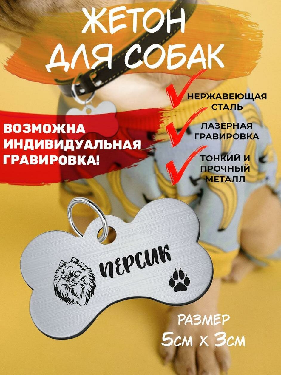 Брелок для собак с гравировкой, нерж. сталь, серебристый, Шпиц Персик