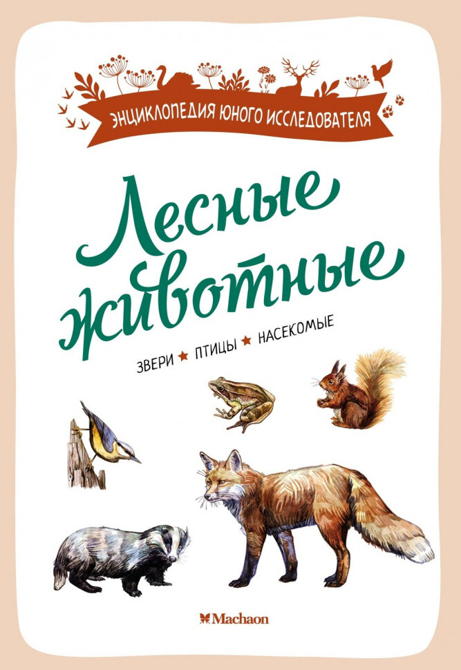 Лесные животные. Звери, птицы, насекомые